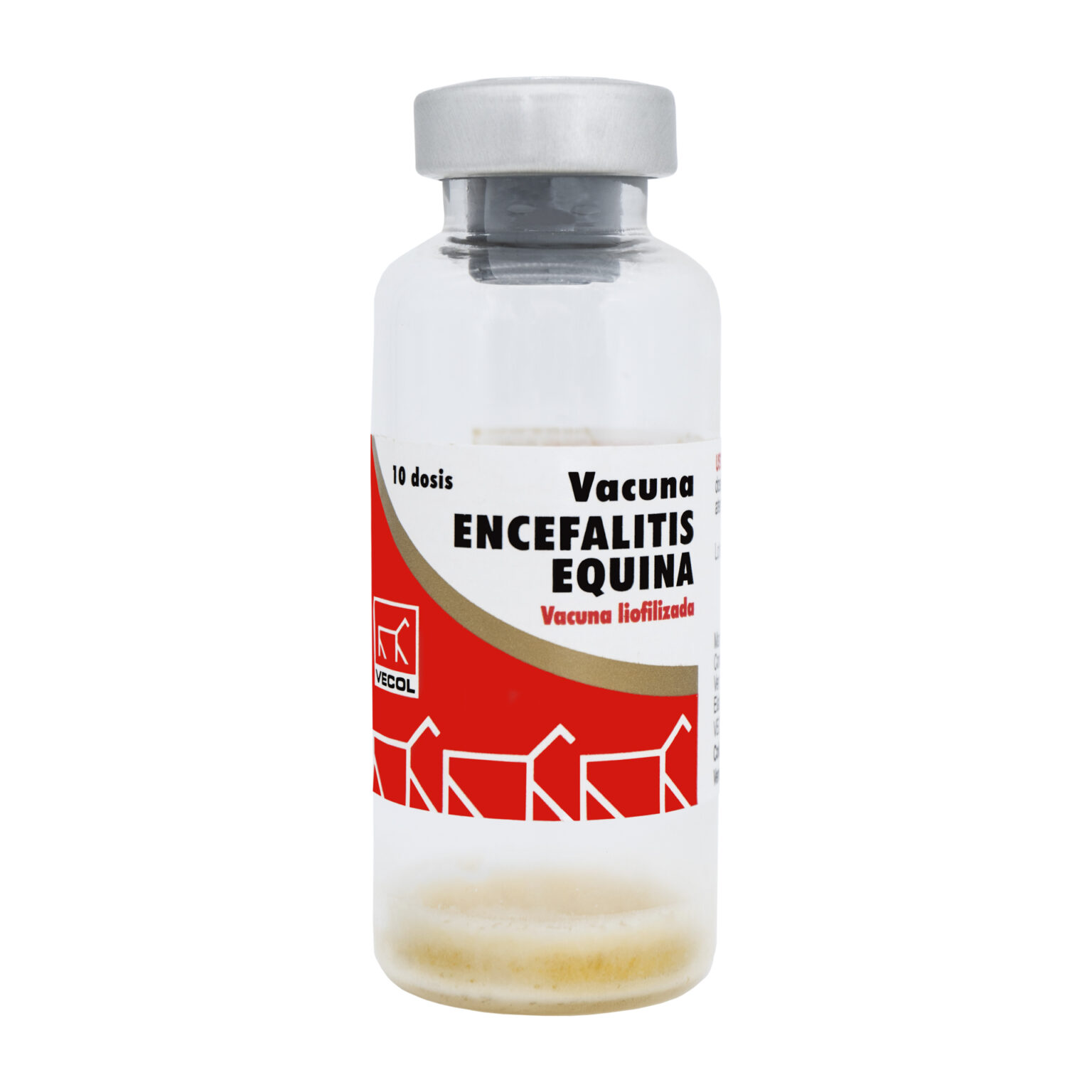 Elvanse adultos 50 mg: Ficha técnica y efecto rebote de las cápsulas duras